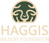 What is Wild Haggis – Haggis Wildlife Foundation